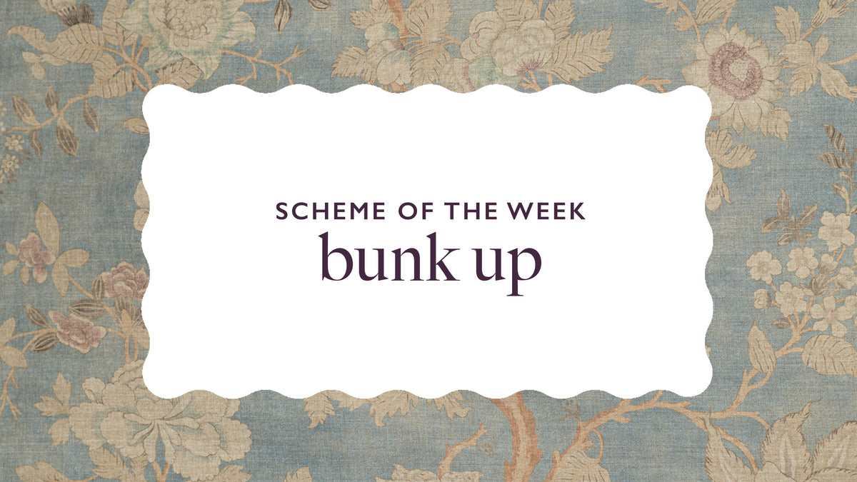 Scheme of the Week: Bunk Up– Coley Home